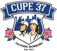 Cupe 37