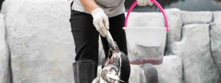 Who We Represent - Cupe 37